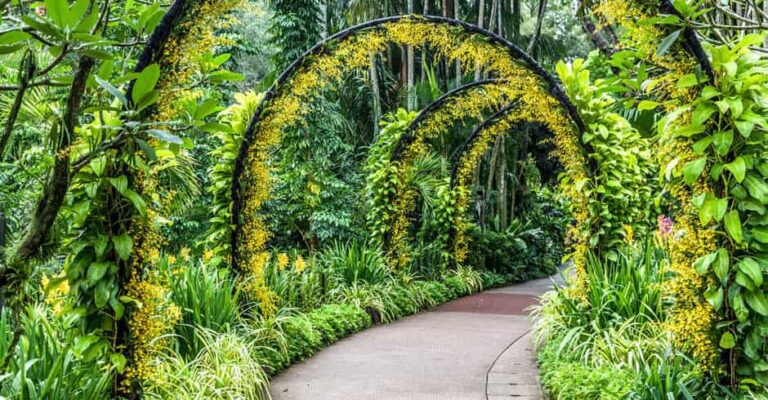 The most beautiful and mesmerizing Botanical garden mumbai